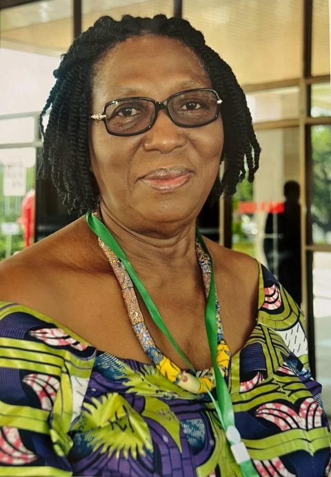 Cassava clusters in Mampong and Ejura strengthen community livelihoods ...
